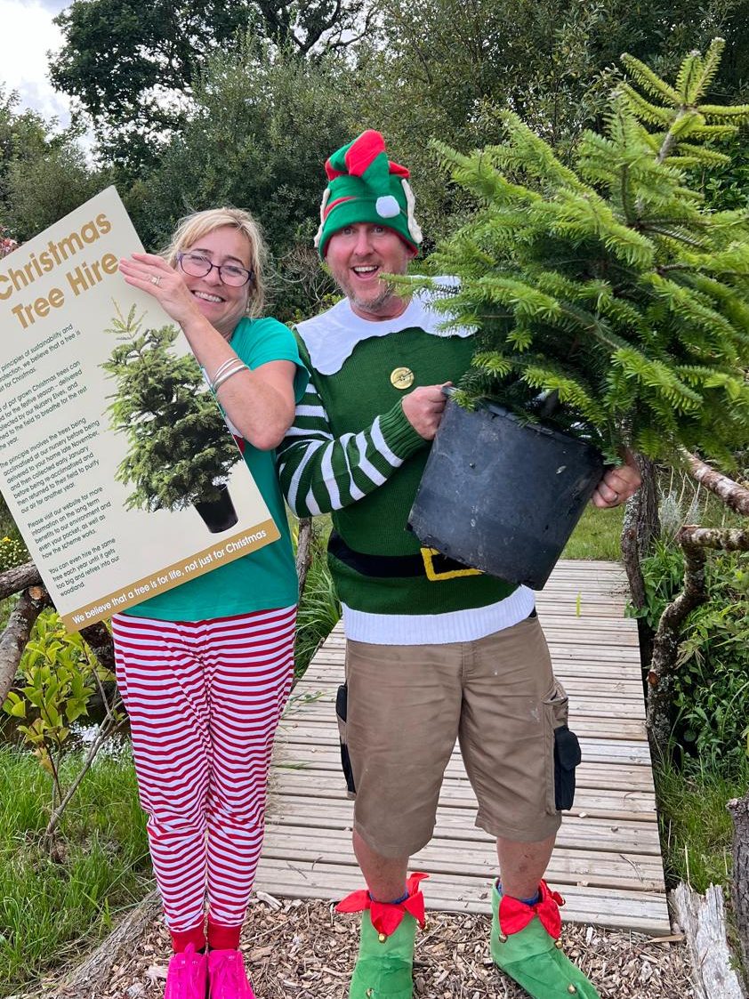 Christmas Tree Rental – Lanjeth Nursery & Water Gardens